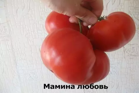 Pomidorų mano meilė