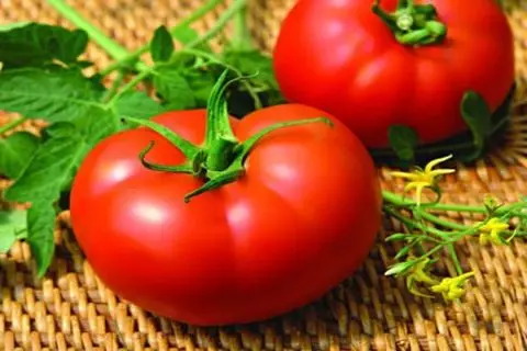Tomatoes Mahitos