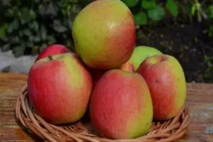 Përshkrimi i varietetit të mollës, karakteristikat kryesore dhe kopshtarët