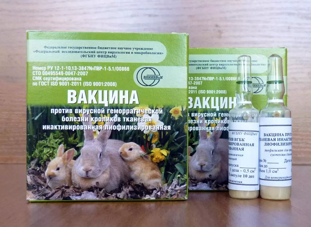 Vacuna de conejos