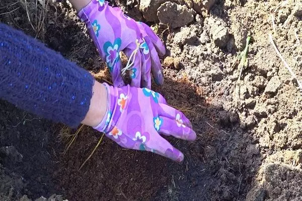 Schöne Handschuhe