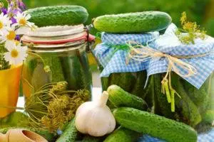 Eenvoudige recepten van komkommers zoutoplossing voor de winter in banken
