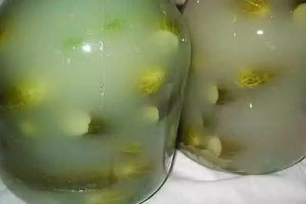 उगूड cucumbers