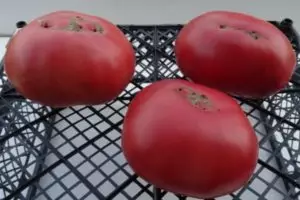 Miêu tả lớn của Tomato và năng suất của anh ấy