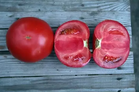 Кибокомии помидор дар дохили