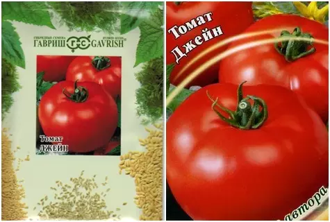 Tomato-Semoj Jane