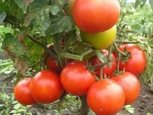 Déi bescht, ergëtt Erënnerungen vun Tomaten fir déi nërdlech Regiounen am oppenenene Buedem an Greemer