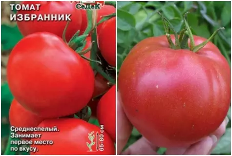 Valittu tomaatti valittu