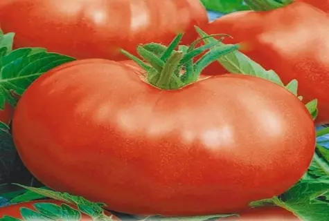 Tomato de la revuo