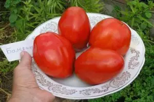 بیلرینا ٹماٹر اور اس کی خصوصیات کی تفصیل