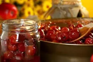 Recipe hêsan ji bo jam transparent ji ranets bi tiliyek ji bo zivistanê