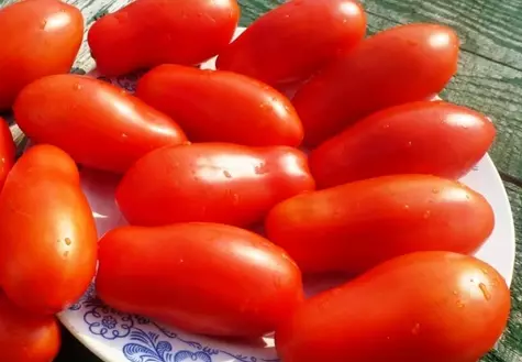 Ymddangosiad bysedd dame tomato