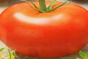 番茄品种描述我们的马什，其特点和特点