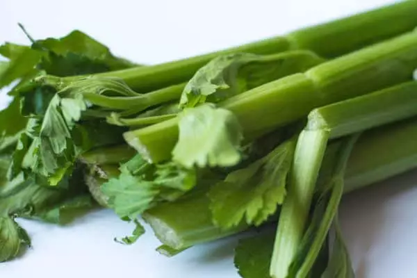 Celer a zelení