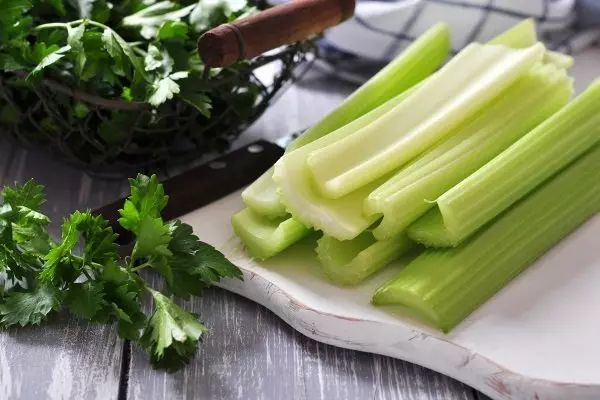Řezací celer