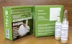 Instruktioner til tilknyttet vaccine til kaniner og hvordan man laver vaccinationer