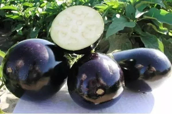 Description of the cylinder eggplant variety, its characteristic and yield