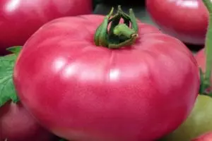 Pomidor Robinsonning xilma-xilligi va uning xususiyatlari tavsifi