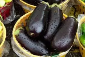 Nkọwa nke ọkwa nke eggplant Galich, njiri mara ya na mkpụrụ