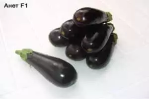 Beschrijving en kenmerken van aubergine Annet F1, groeien en verzorgen