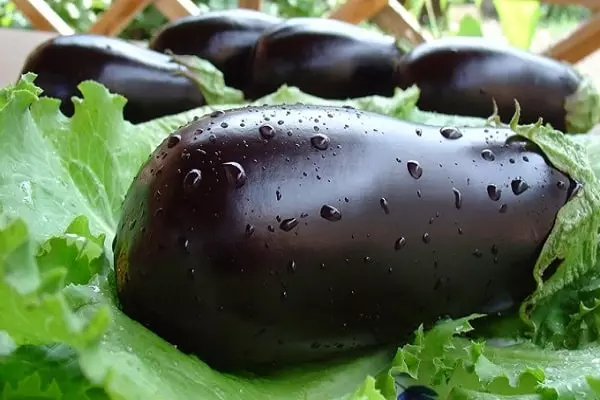 Eggplant na nri