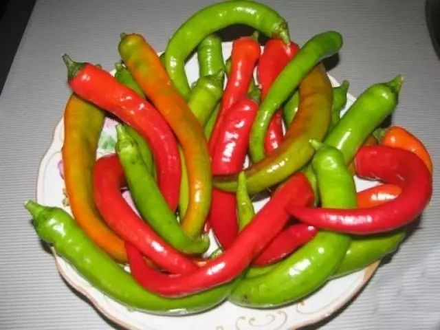 Pepper Guteka