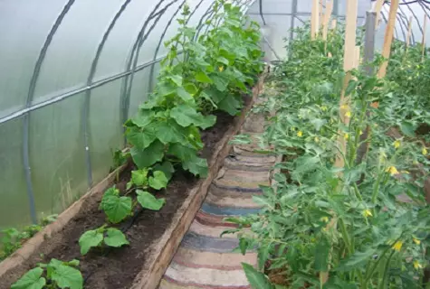 Green Greenhouse