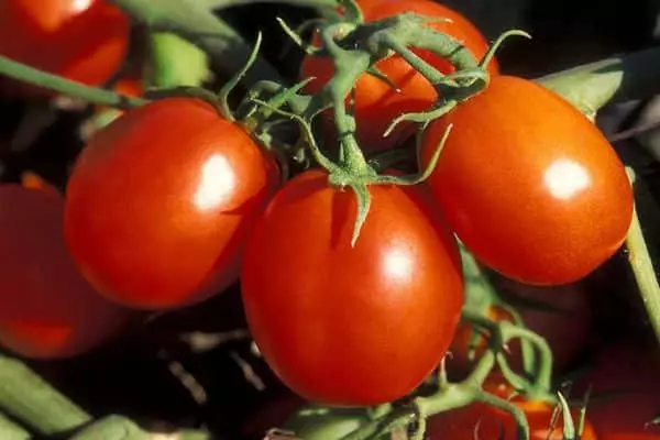 Comentaris sobre Tomate