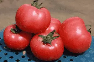 Pomidorų esmy aprašymas, jo charakteristika ir derlius
