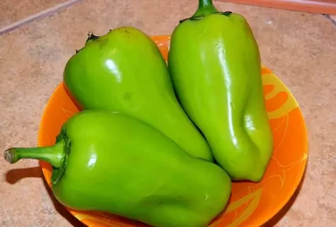 Pepper Real Smes