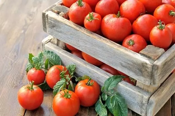 Tomatenkastje