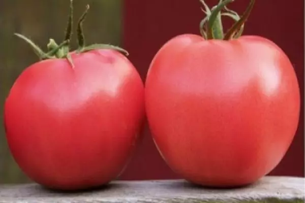 Tomat voksende sorter