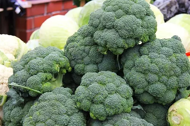 Broccoli groen