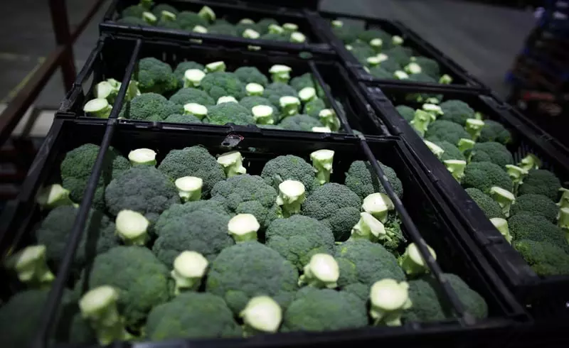 Broccoli in bokse