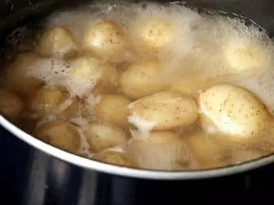 Infusion khoai tây