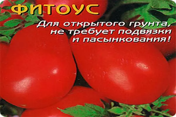 Tomate fitous.