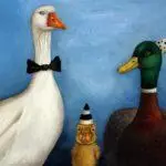 Која е разликата помеѓу патка од гуска: надворешни знаци и она што изгледа како на шалтер 950_4