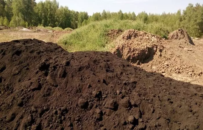 Bolotnaya gleba