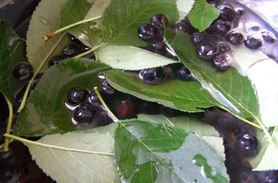 marmelada con follas de cereixa