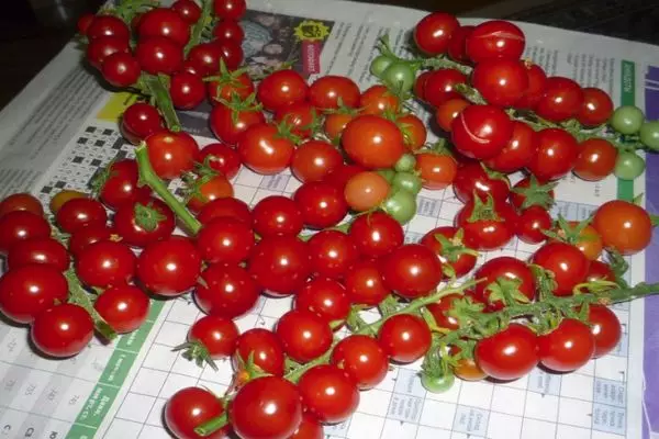 Tomatov cổ điển