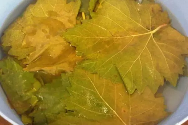 Marination Recipes Grape Leaves for Winter