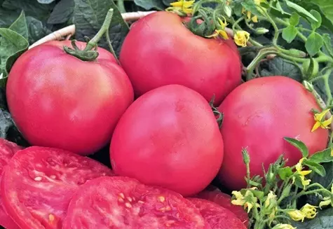 Pomodoro Supergigant rosa F1 in giardino