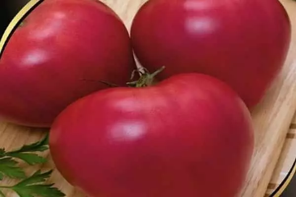 Amantoj de tomatoj