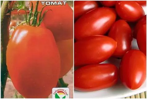 番茄王子種子