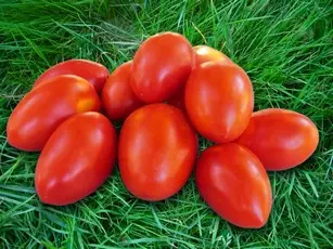 Printzesa tomatea belarrean