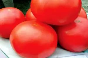 Litšobotsi tsa sehlopha sa tomato Ural f1, fana ka lihlahisoa le likarolo tsa Agrotechnics