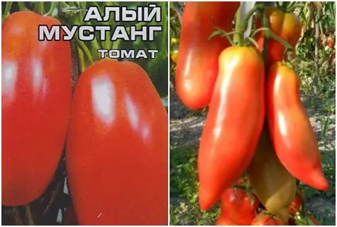 Sementes de tomate escarlate mustang