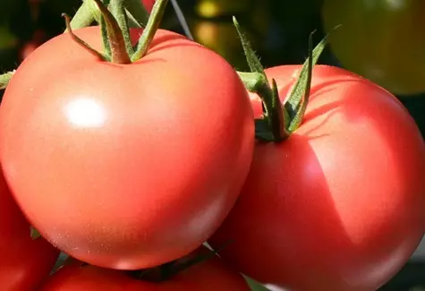 Vintage domates pembe claire
