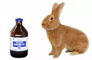 Instrukcje stosowania kwasu mlekowego dla królików i przeciwwskazań