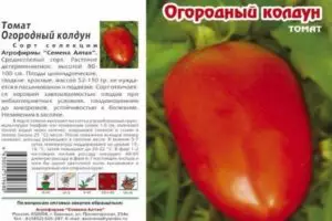 Pomidor pomidor jarrohligi tavsifi, uning xarakteri va hosildorligi
